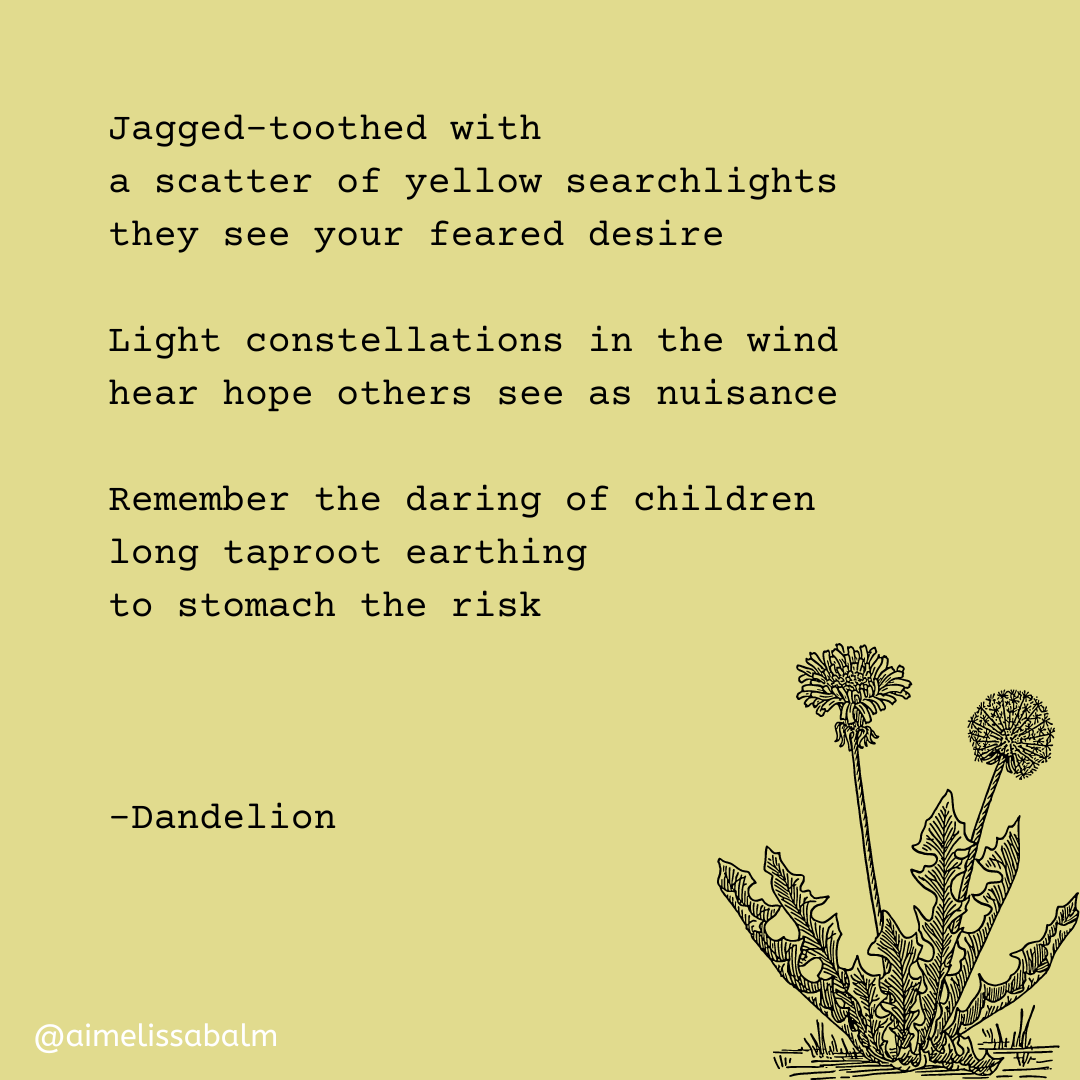 Winter ’23 Plant Poems – Aimee Inglis